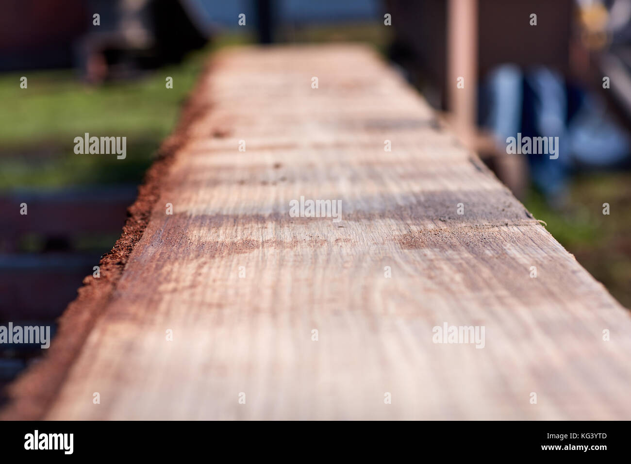 View along the length of fresh cut plank of lumber showing the wood ...