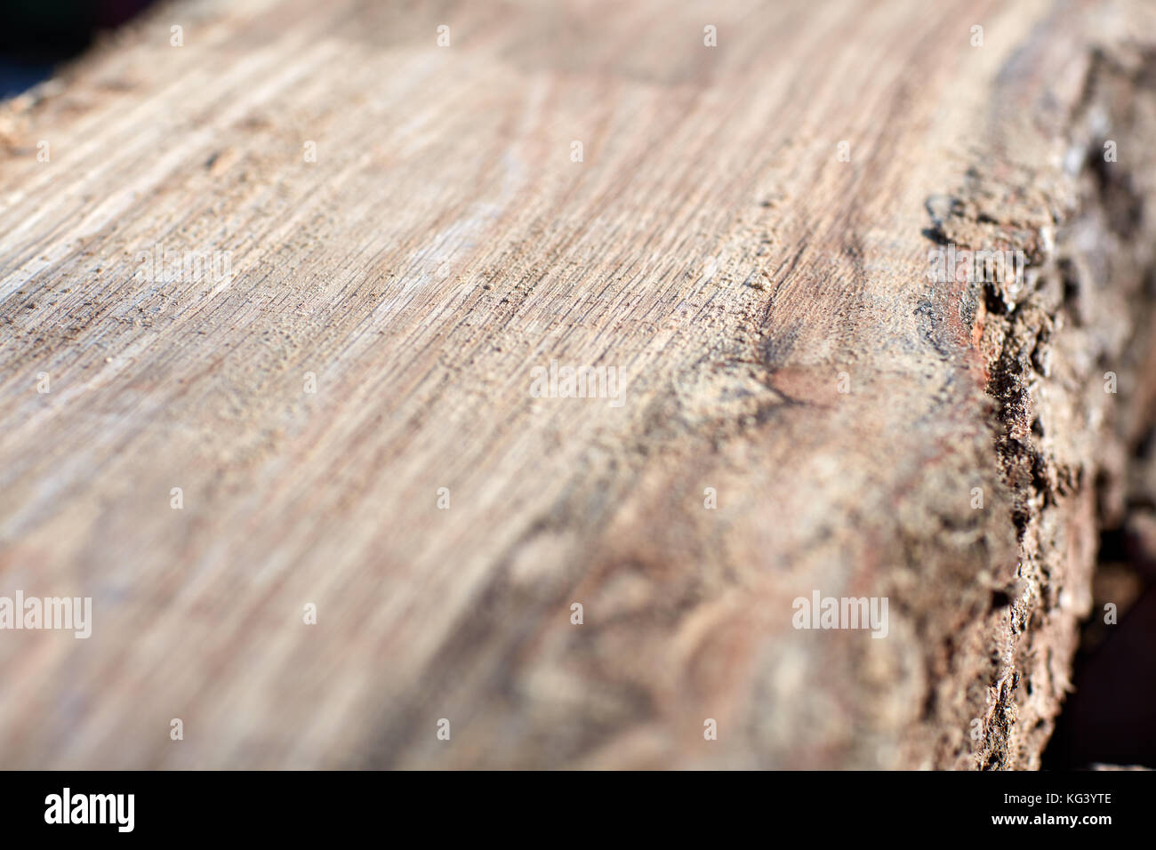 Close up detail of freshly milled lumber showing the flat surface on ...