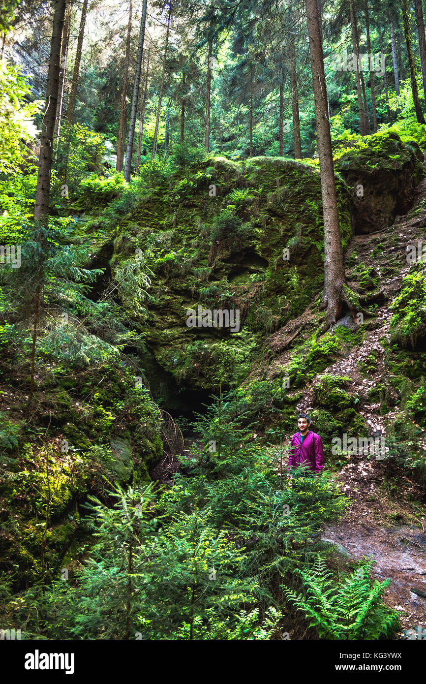 young man standing in a fir tree forest Stock Photo - Alamy