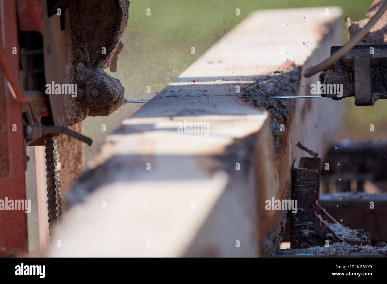 Close up on a saw blade cutting lumber outdoors during the milling ...