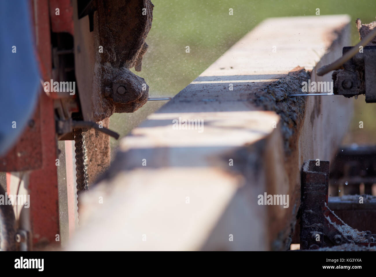 Man milling tree trunks for lumber cutting planks on a portable milling ...
