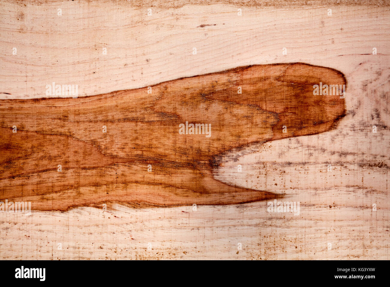 Freshly cut and milled wood texture in a full frame view of the surface ...