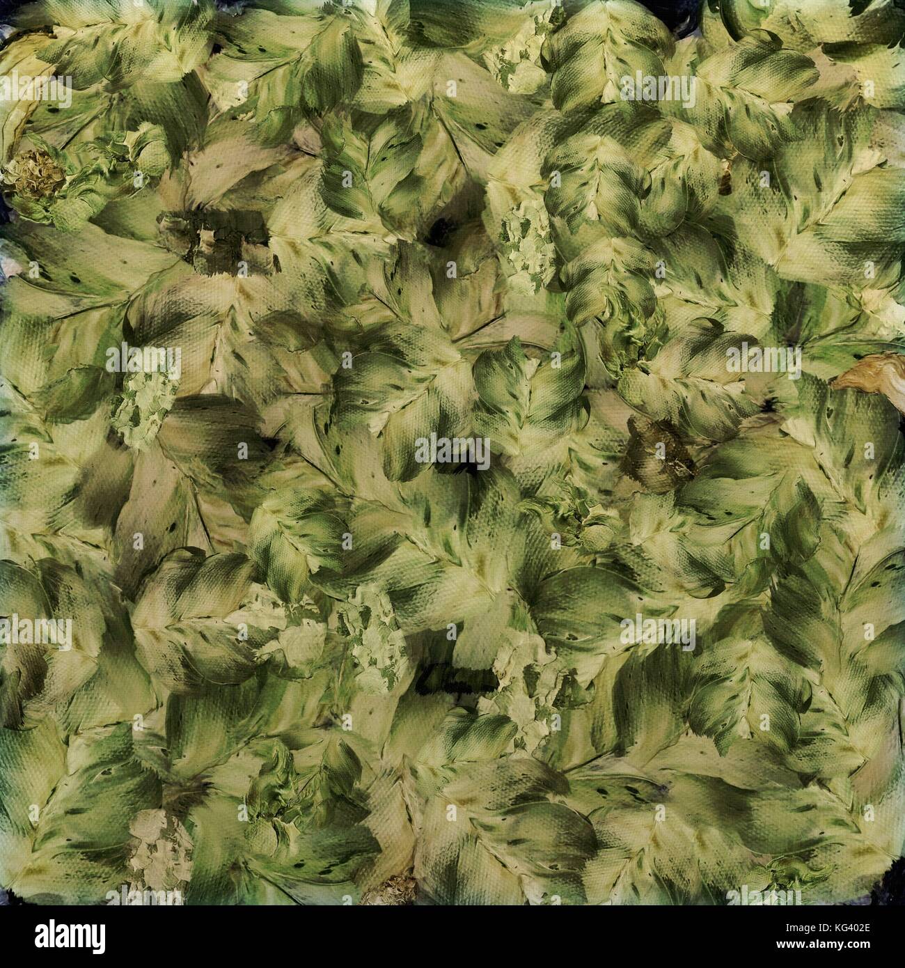 abstract background of wide brushstrokes of oil paint of different ...