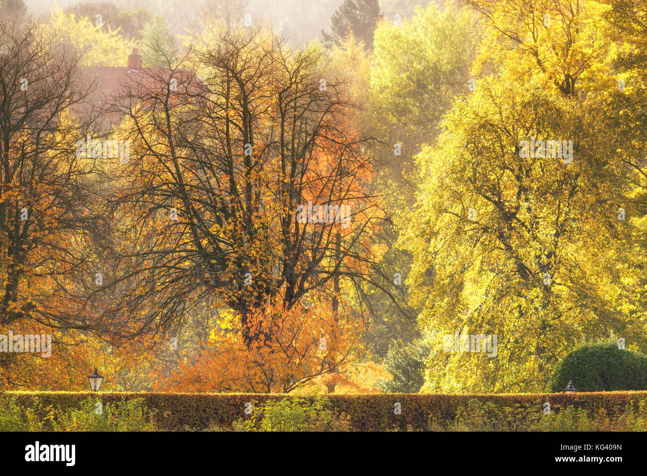 Image to colour hi-res stock photography and images - Alamy