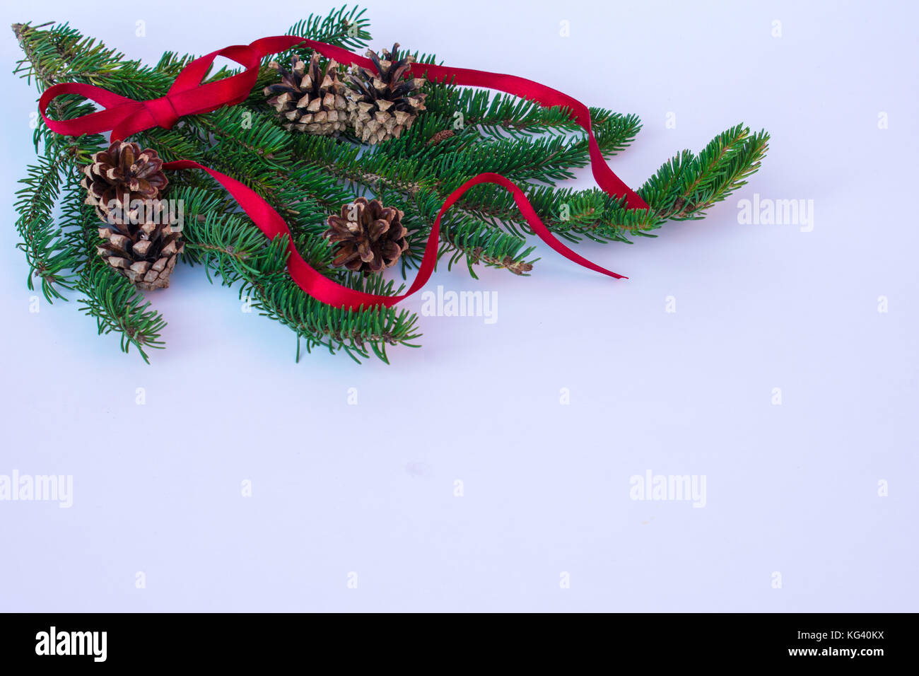 pine cones and ribbon on spruce boughs Stock Photo - Alamy