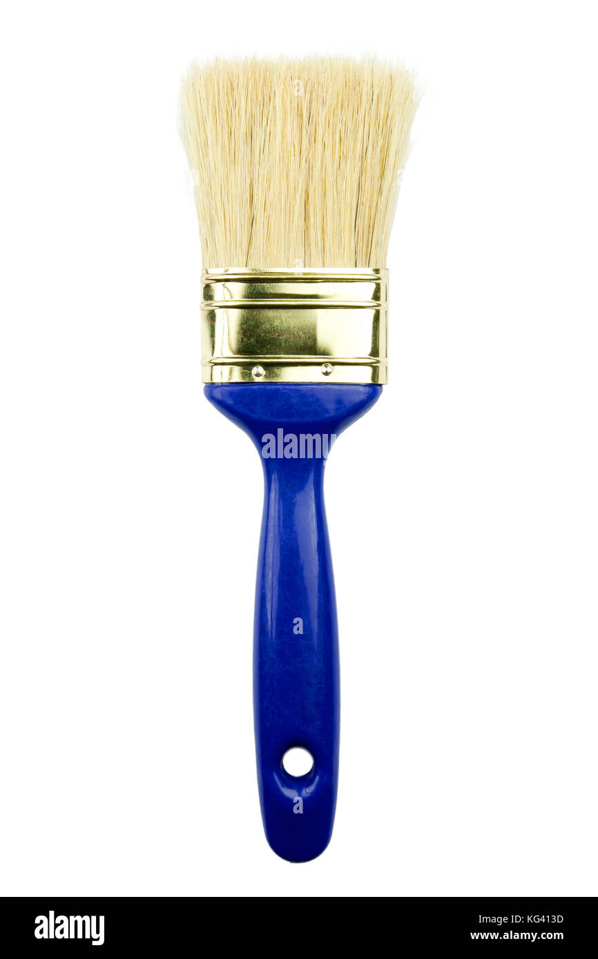 Builders brush isolated on white background Stock Photo - Alamy