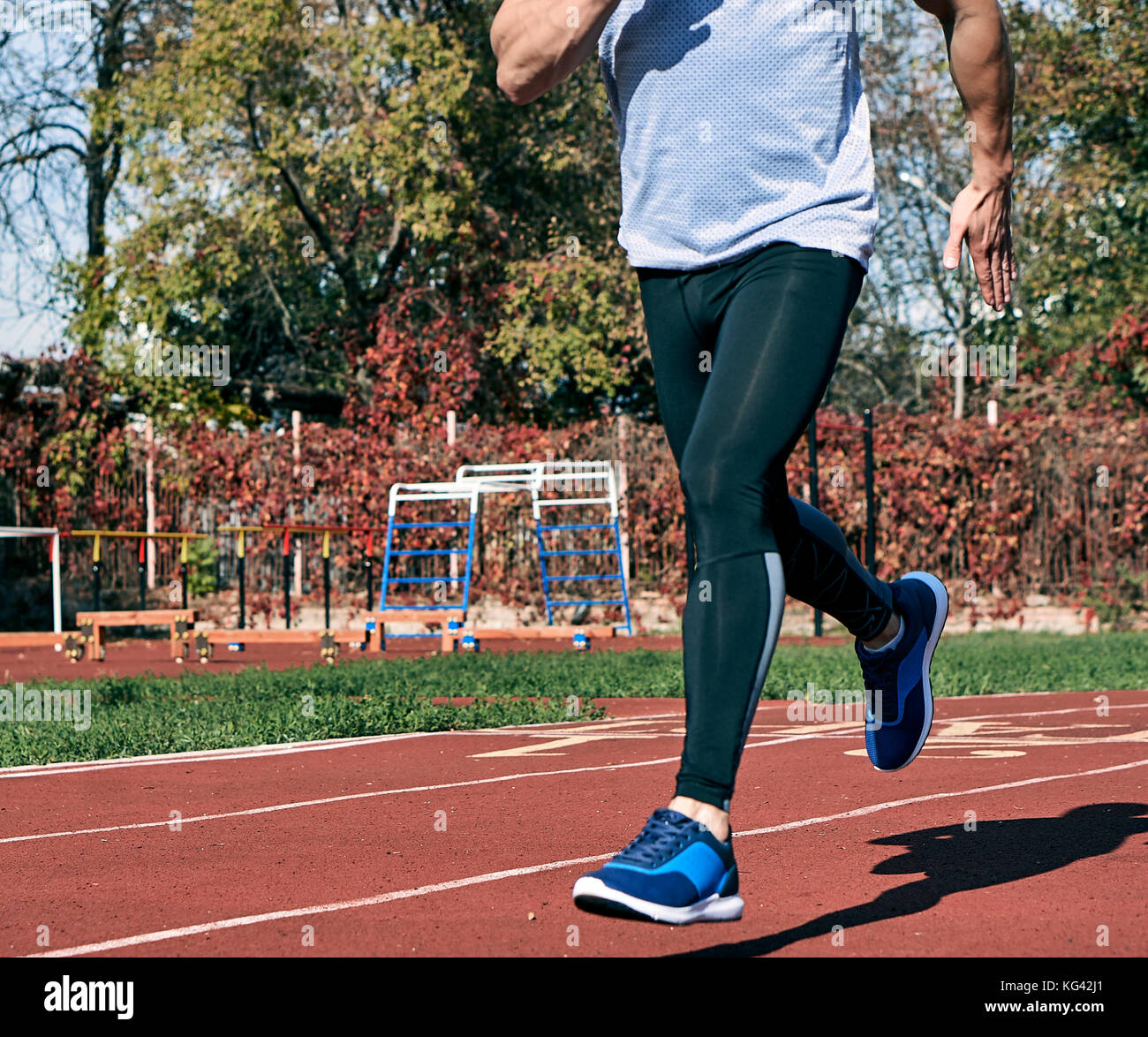 Stadium muscle hi-res stock photography and images - Alamy