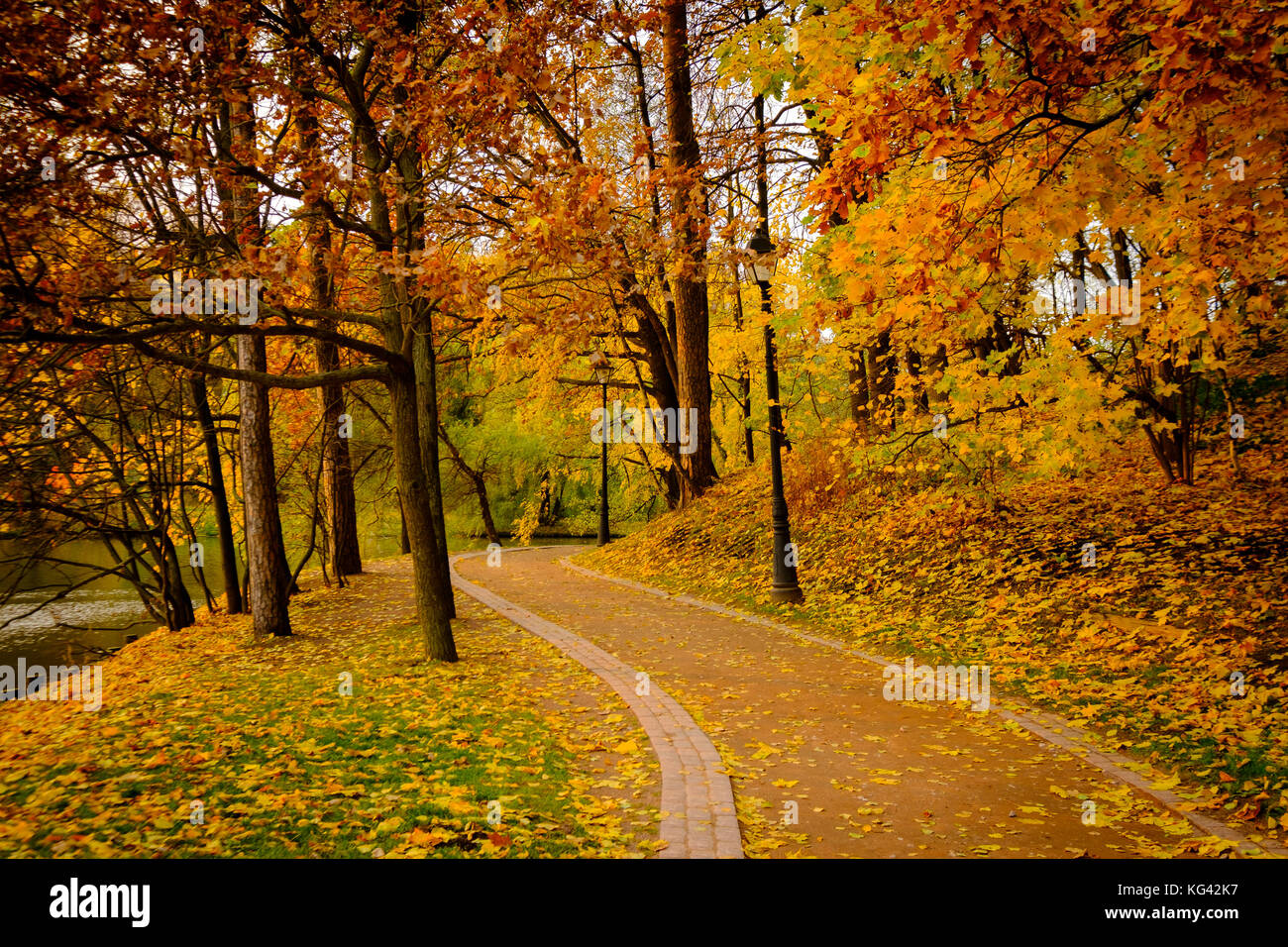 Park landscape at autumn Stock Photo - Alamy