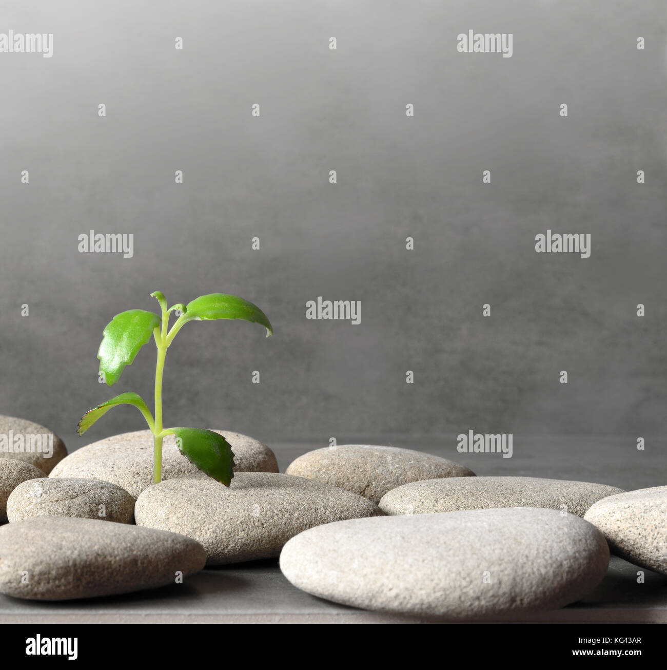 Pebble layer hi-res stock photography and images - Alamy