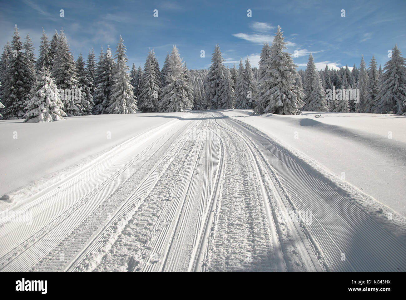 Ski slope and snowy road through spruce forest with snowmobile tracks ...