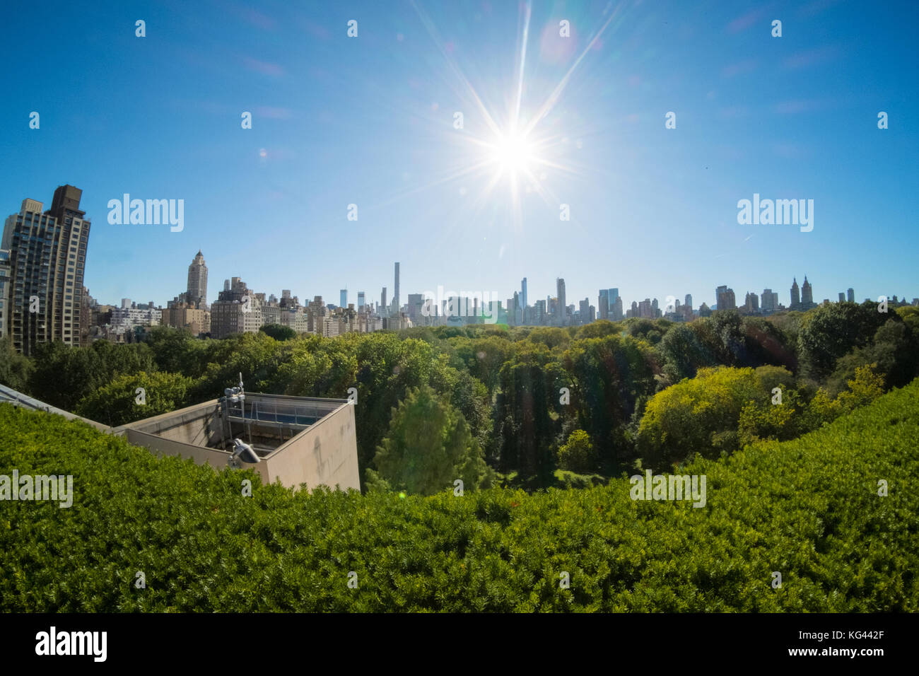 View from the roof of the Metropolitan Museum, New York City, NYC, New ...