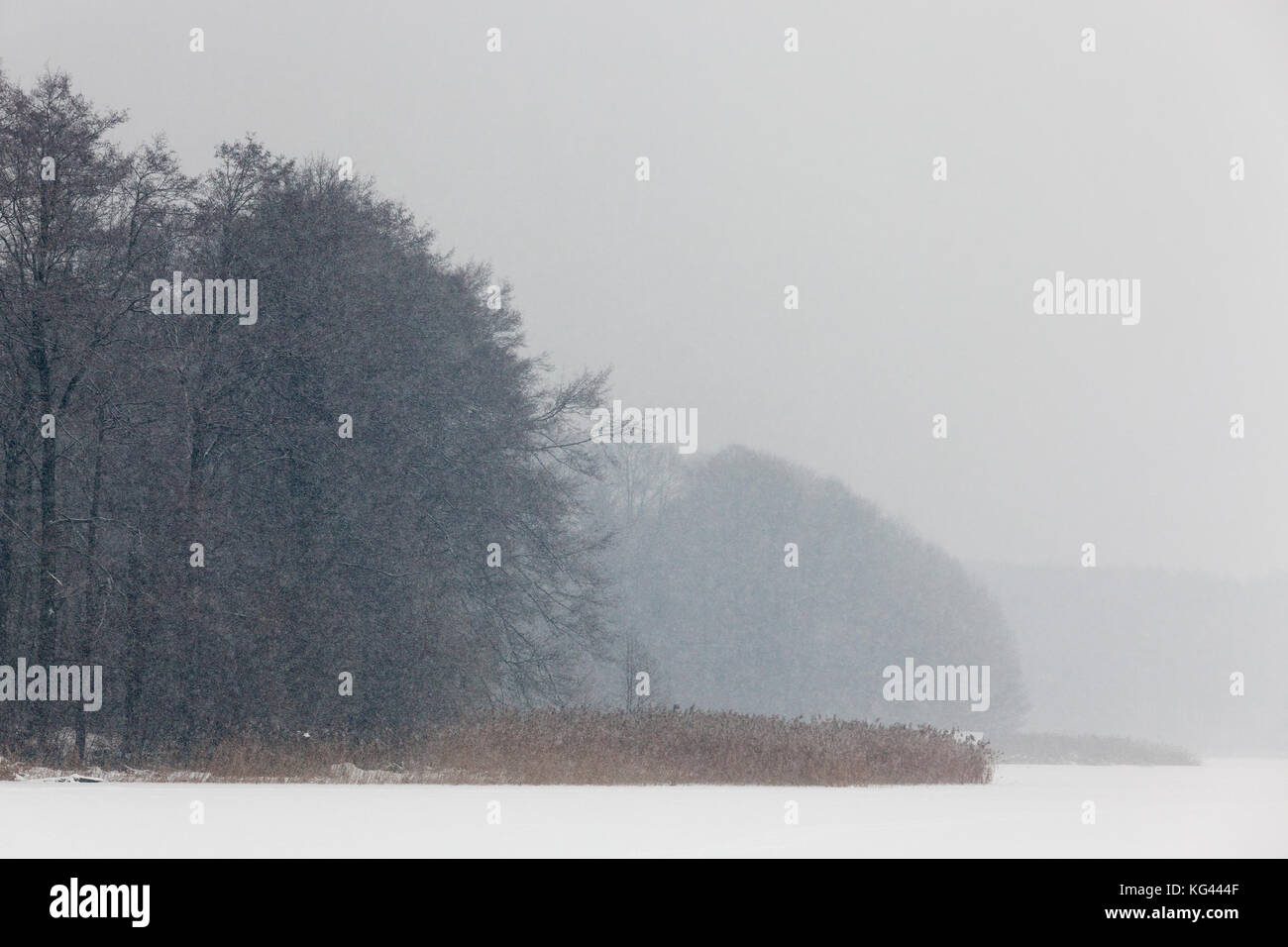 Storm dots hi-res stock photography and images - Alamy