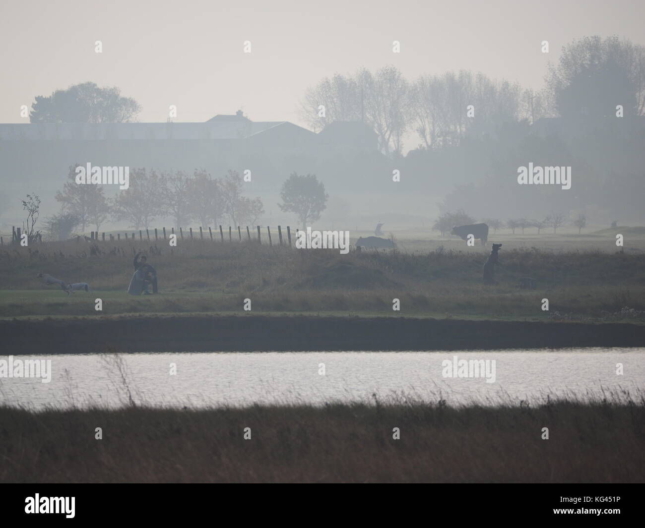 Sheerness, Kent, UK. 3rd Nov, 2017. UK Weather: a very misty and foggy ...