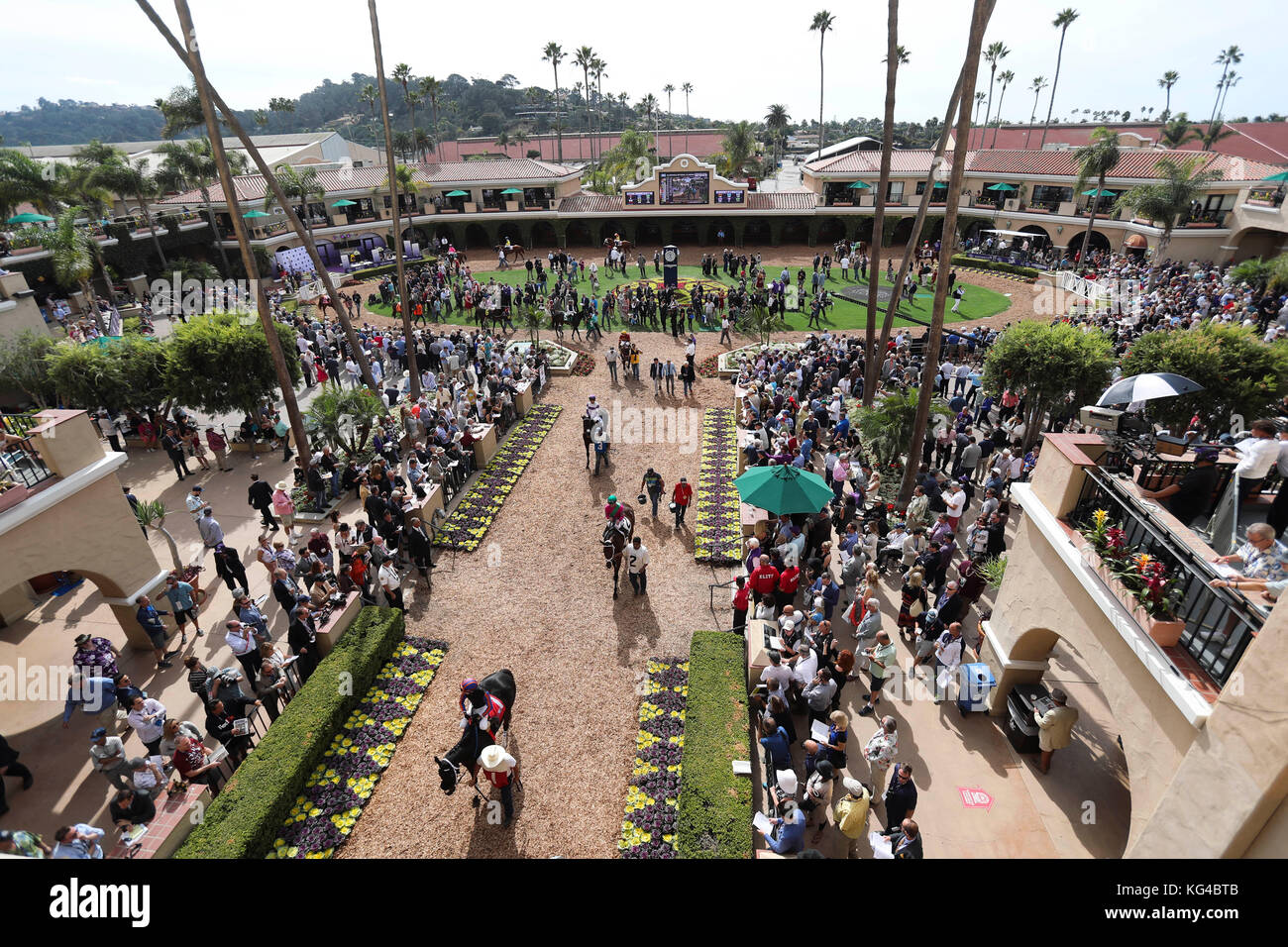 Del Mar, CA, USA. 3rd Nov, 2017. DEL MAR, November 3, 2017 | Horses in ...