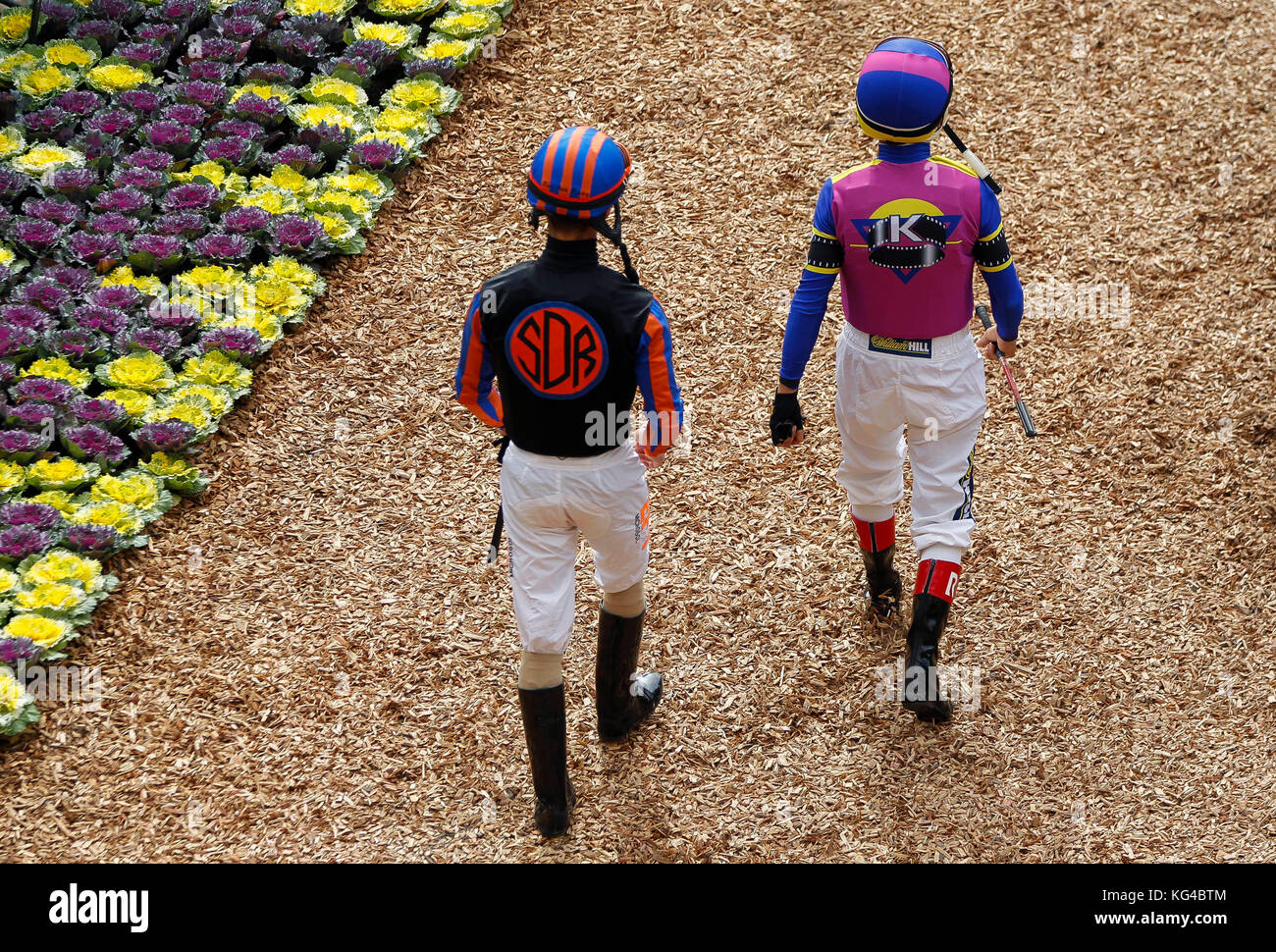Del mar racetrack hi-res stock photography and images - Alamy