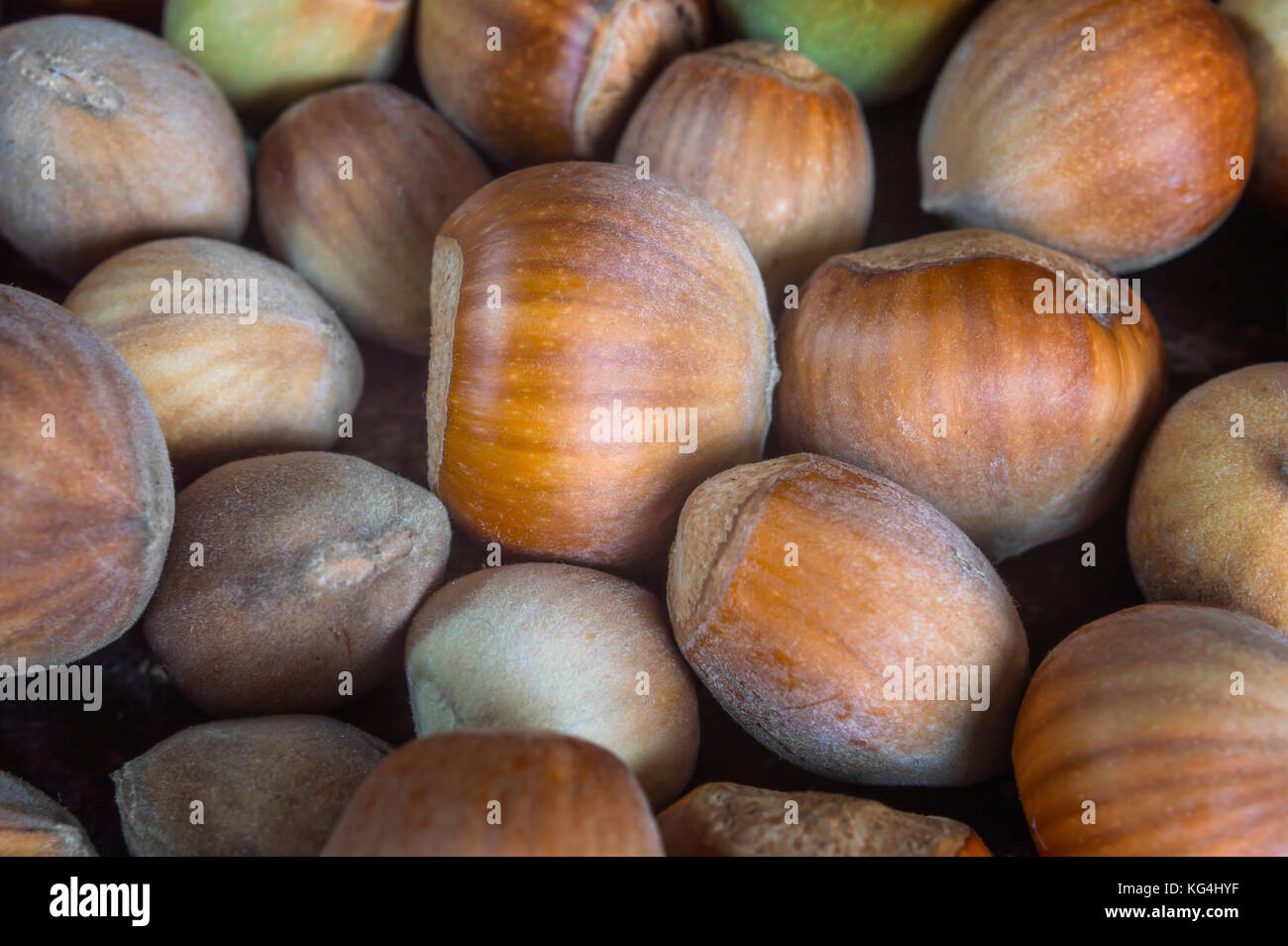 Fresh brown hazelnut as background. Close up image Stock Photo - Alamy