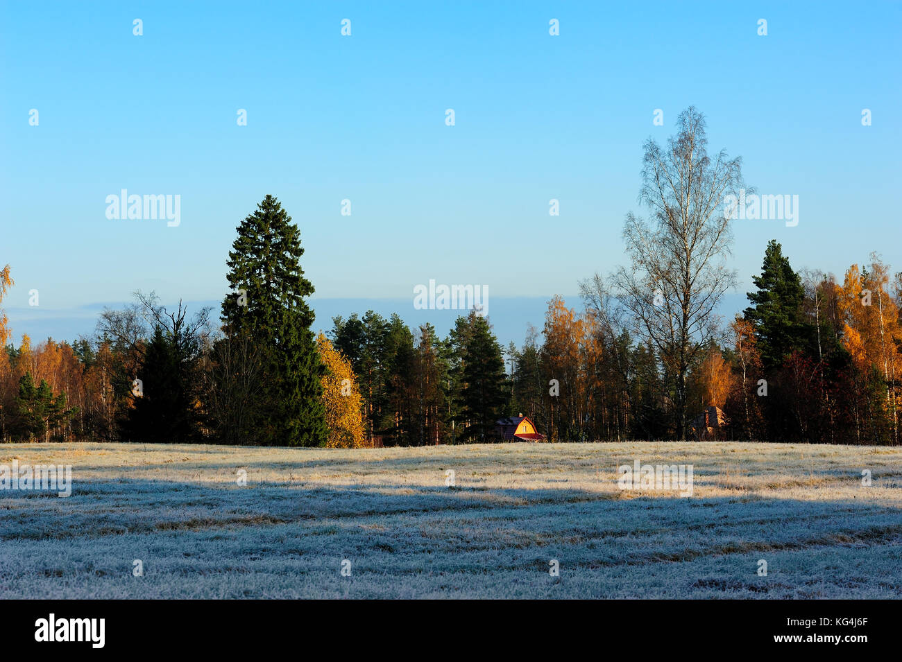 colors of field and forest in autumn in the northwest of Russia Stock ...