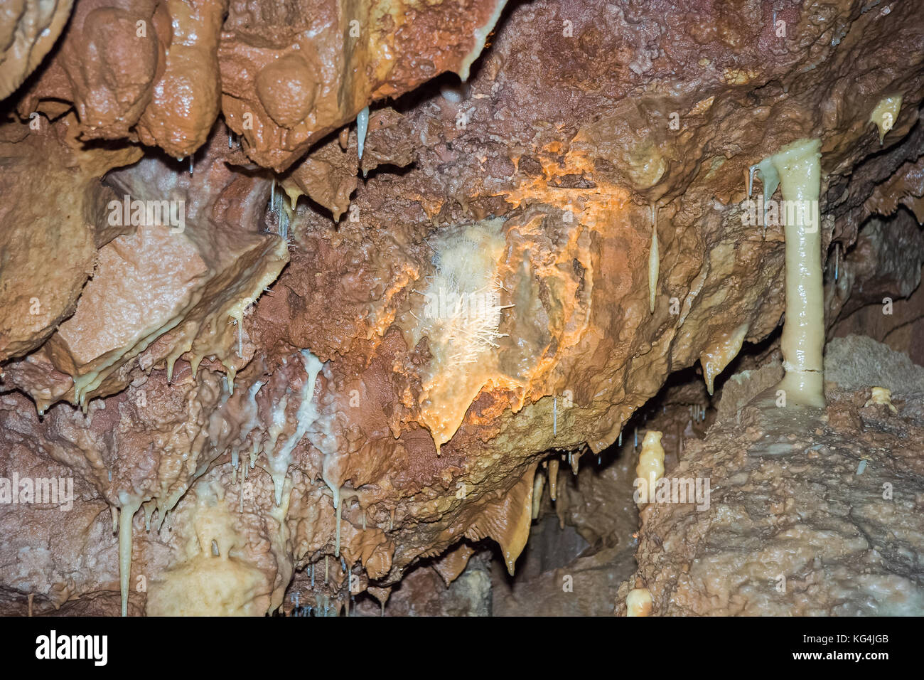 San antonio natural bridge caverns hi-res stock photography and images ...
