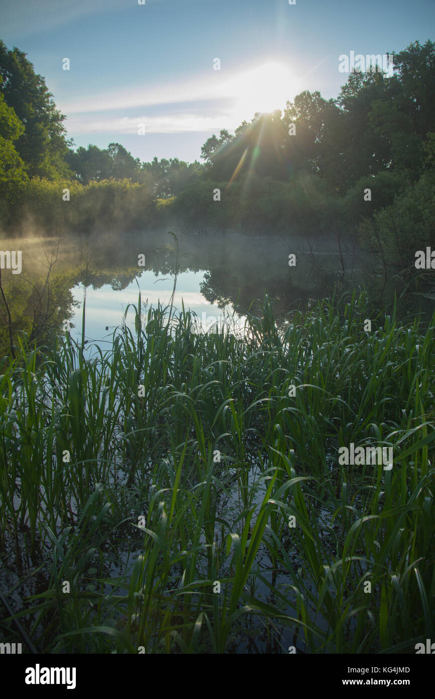 Late Autumn.Frosted pond under thin ice with coastal grass and shore ...