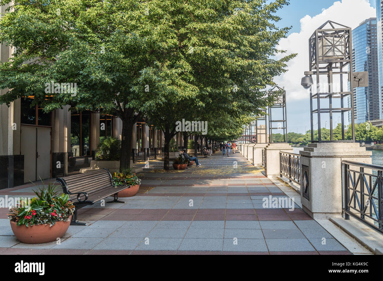 Chicago illinois urban road trees hi-res stock photography and images ...