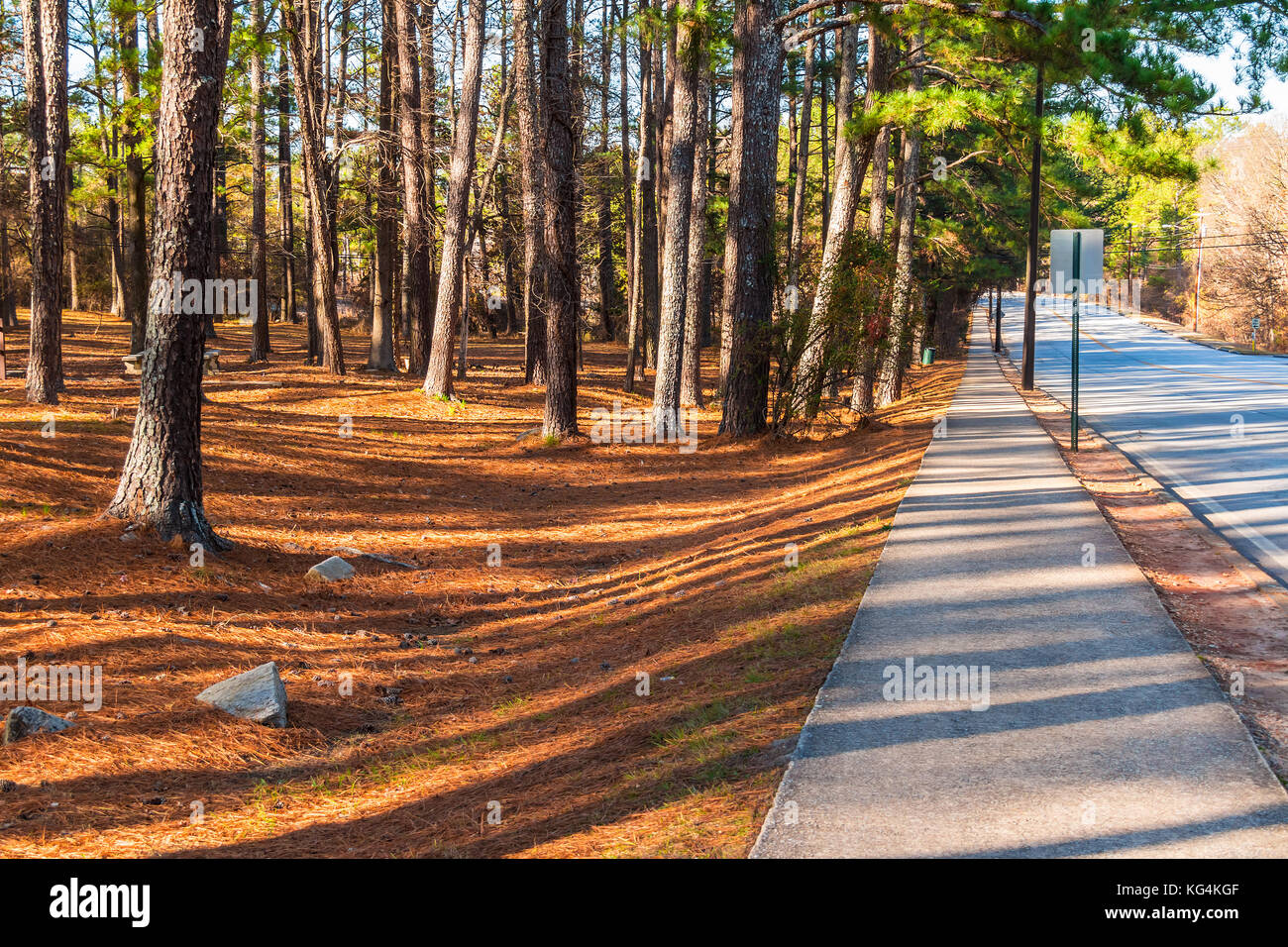 View of sidewalk and trees with long shadows in the Stone Mountain Park ...