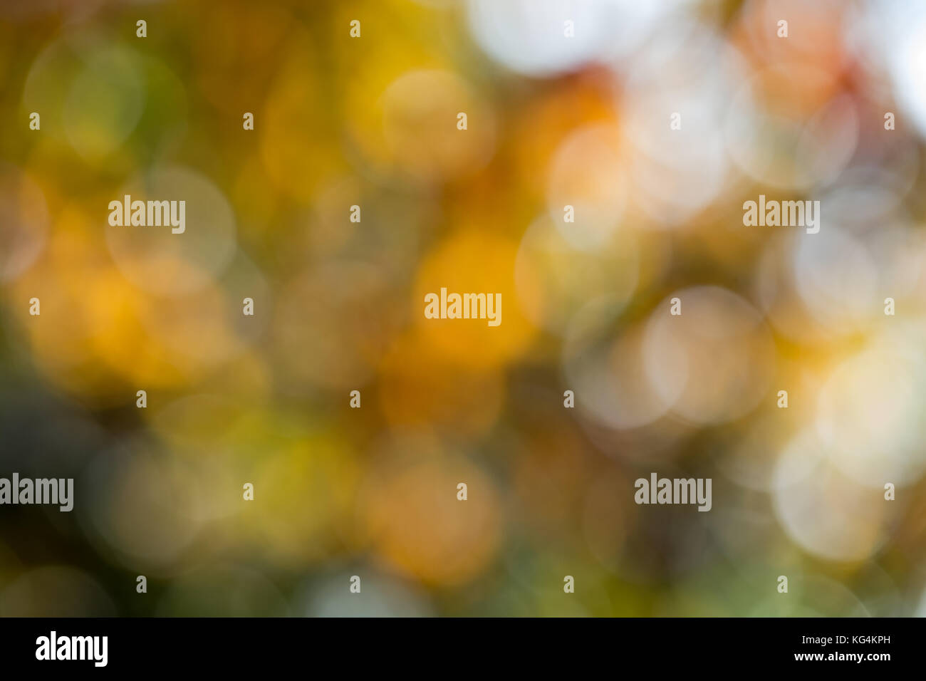 Autumn background blur of color from leaves Stock Photo - Alamy