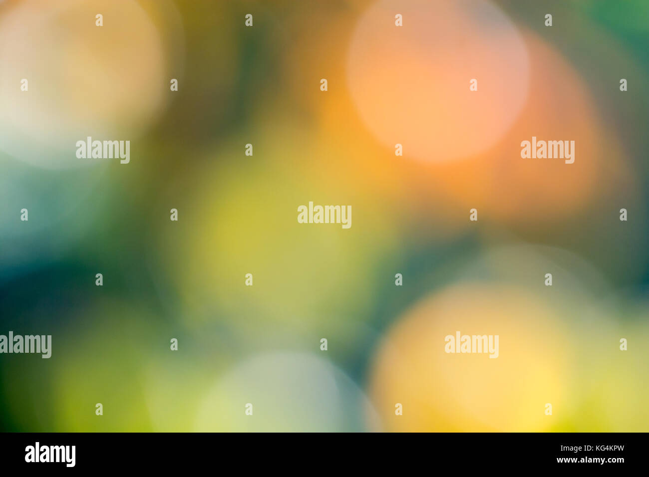 Autumn background blur of color from leaves Stock Photo - Alamy