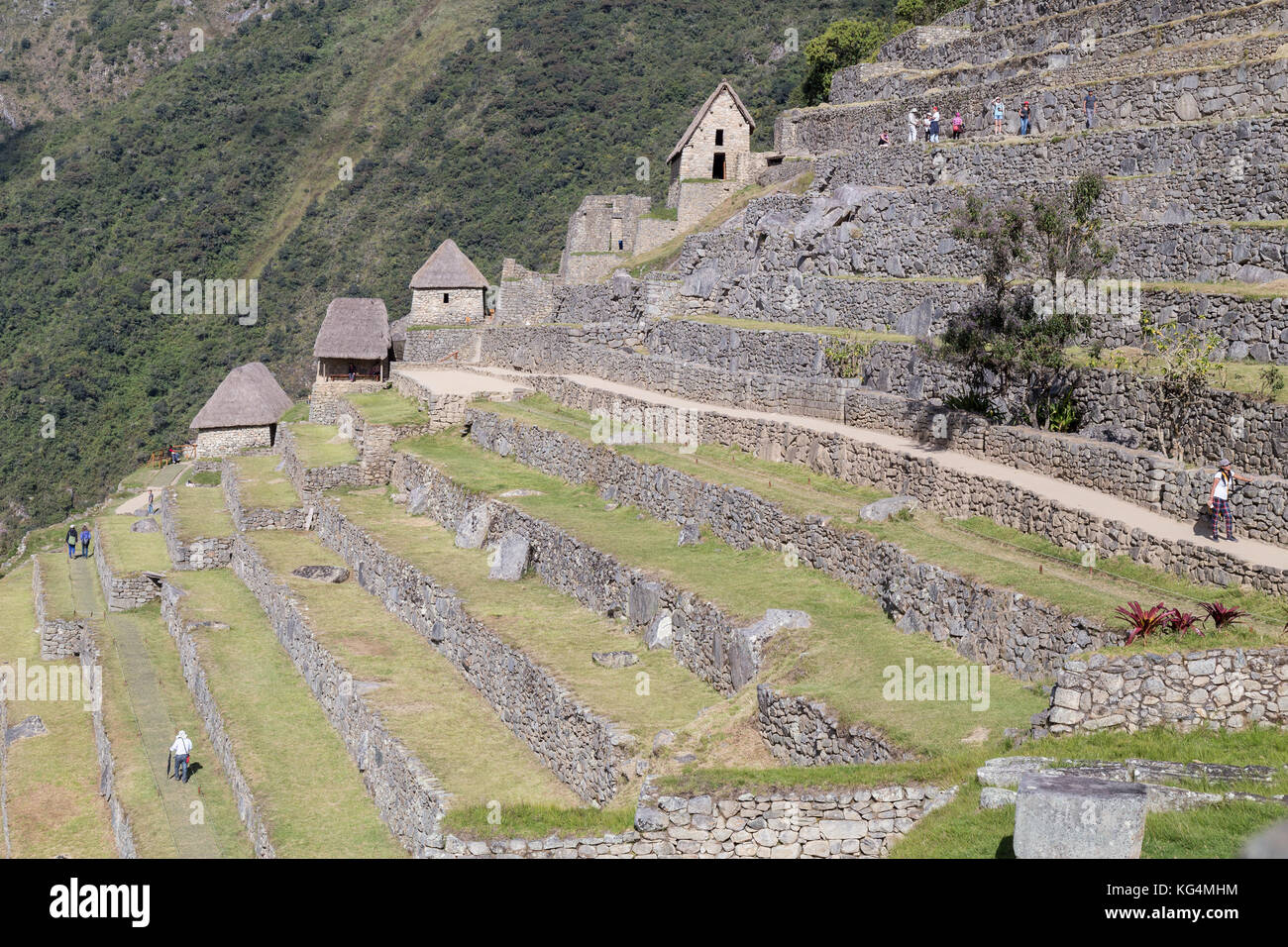 Terraces in Machu Picchu sacred lost city of Incas in Peru Stock Photo ...