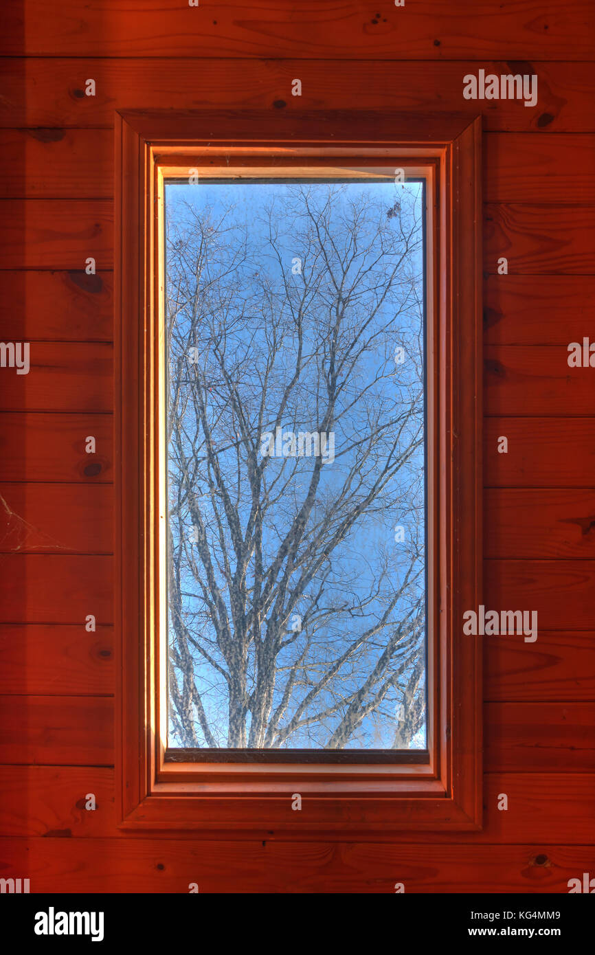 A bare tree and clear sky outside the window in a wooden roof in sunny ...