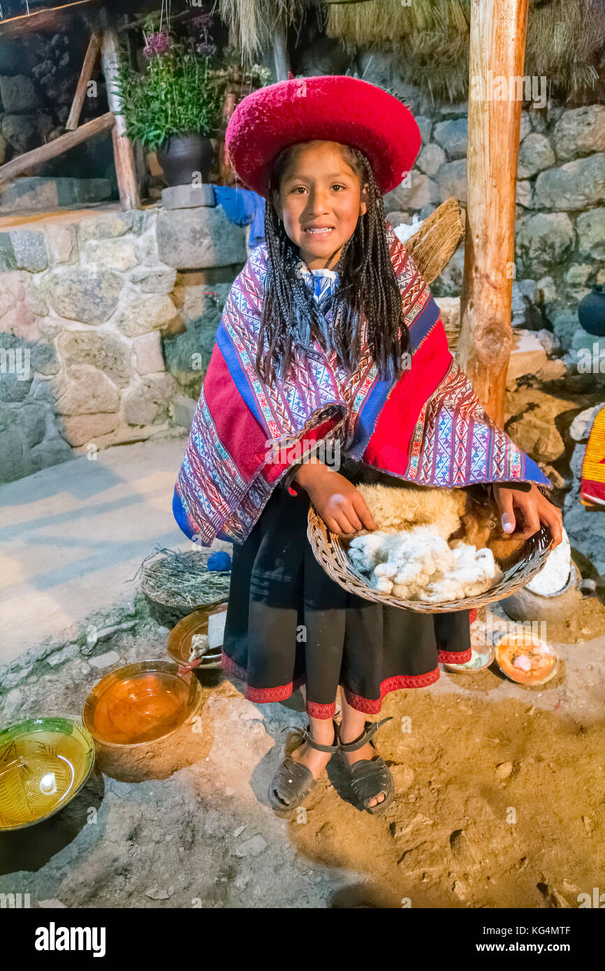 Girl in traditional Peruvian clothes holds a basket with Alpaca and ...