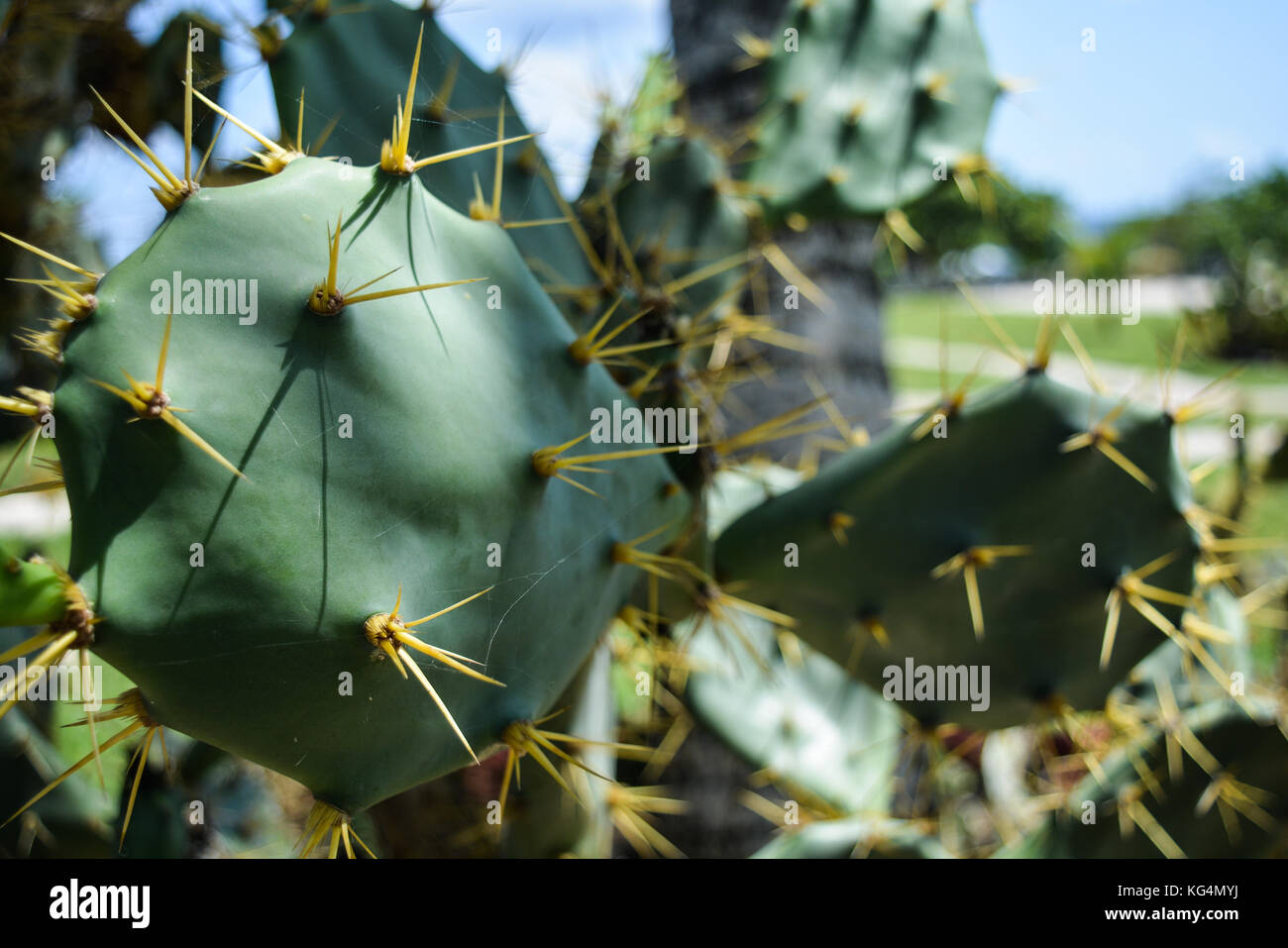 Havana winter hi-res stock photography and images - Alamy