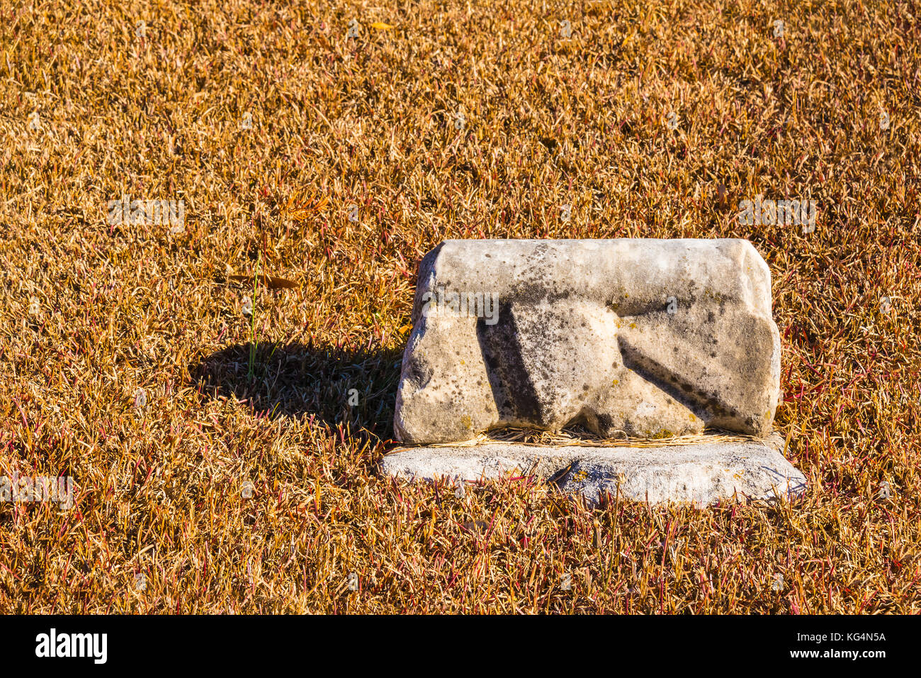 The small tombstone on the dry grass closeup on the Oakland Cemetery ...