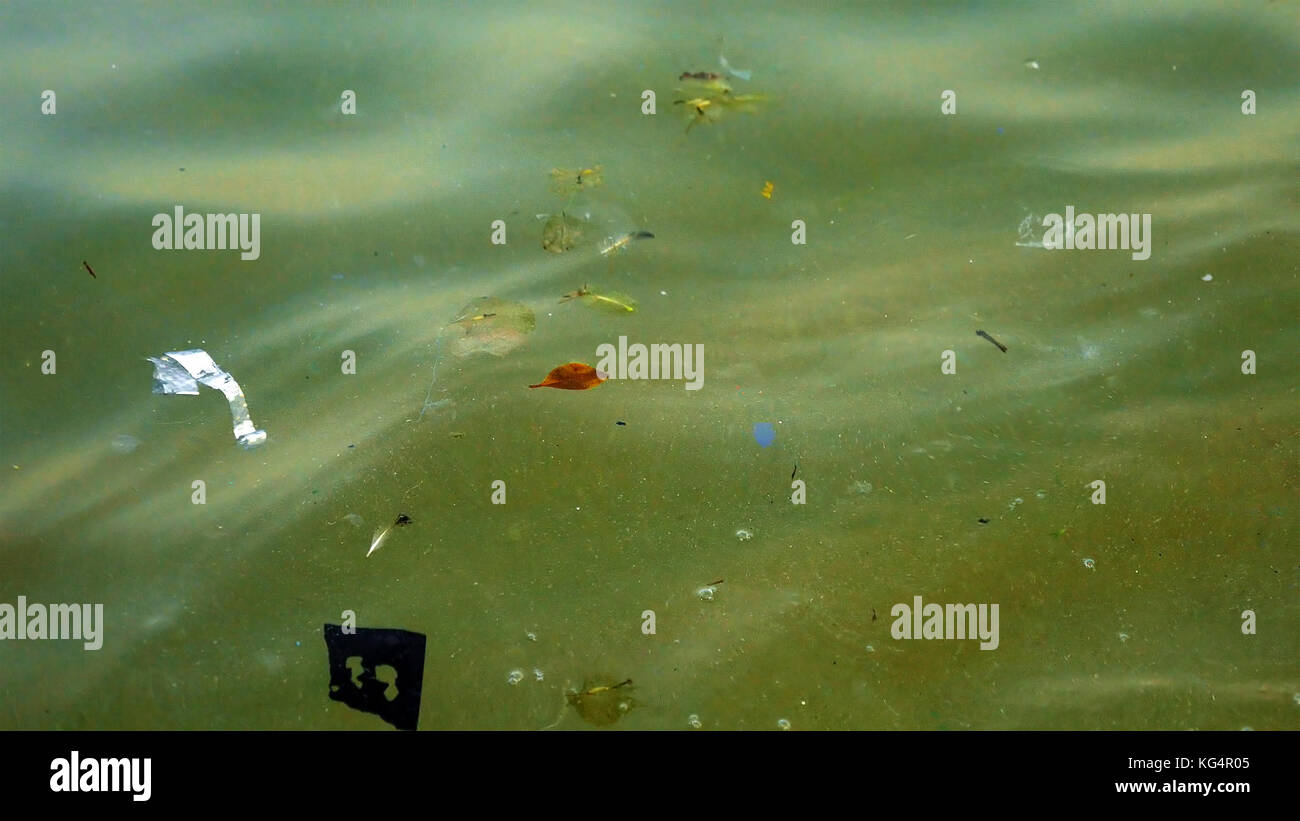 Dirty polluted water at the seashore Stock Photo - Alamy