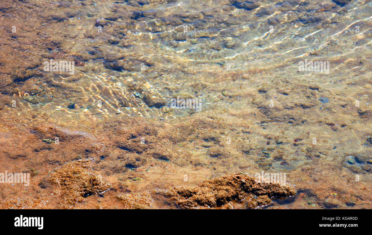 Sea bottom under the clear water Stock Photo - Alamy