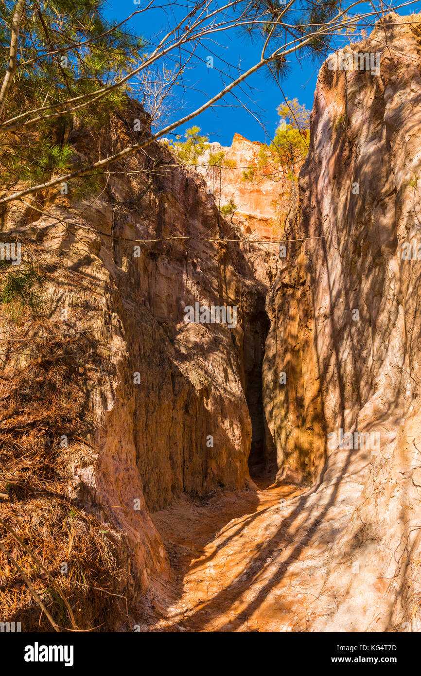Crevice in the red loamy wall of Providence Canyon in sunny day, USA ...