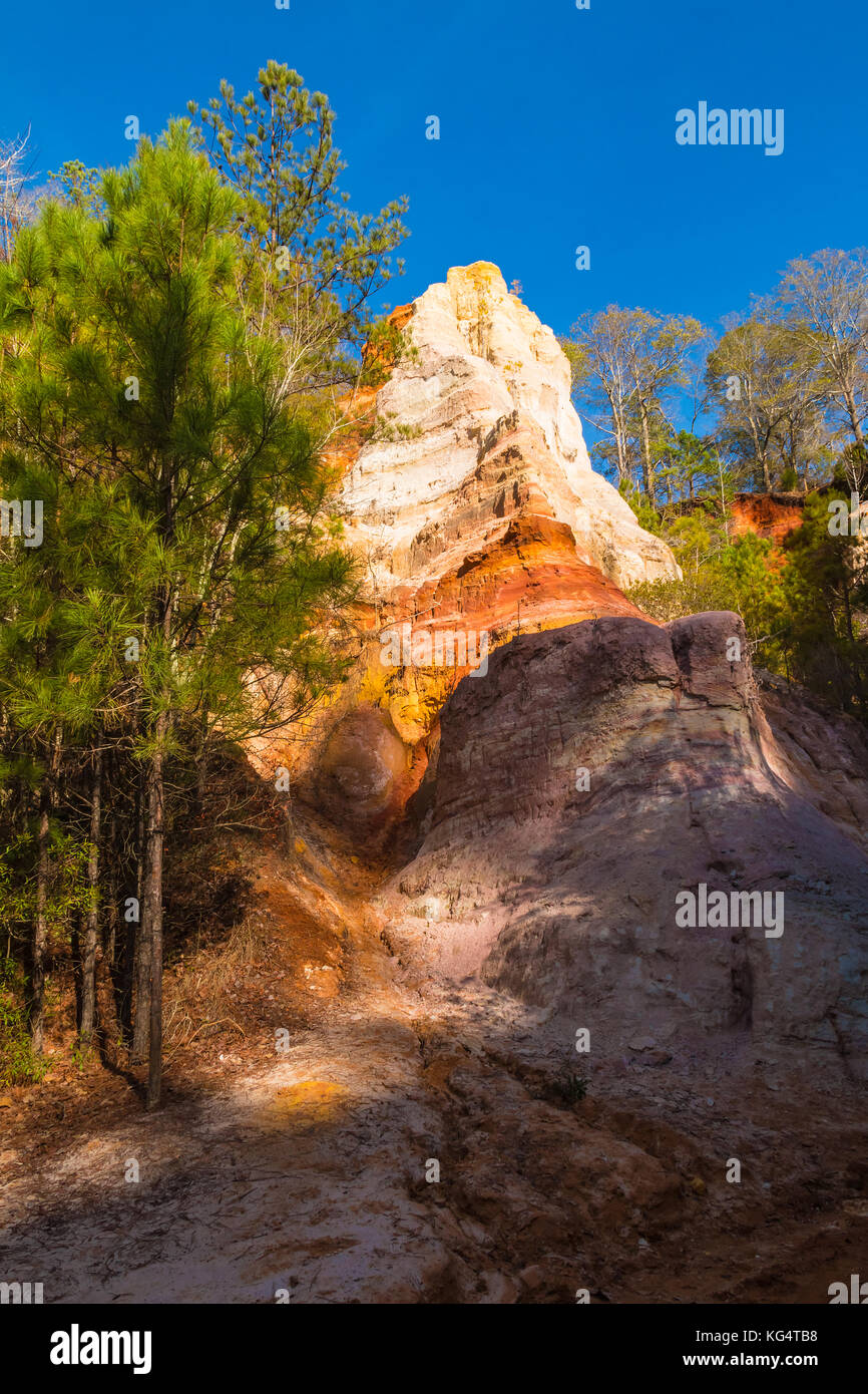 Tree growing on edge cliff hi-res stock photography and images - Alamy