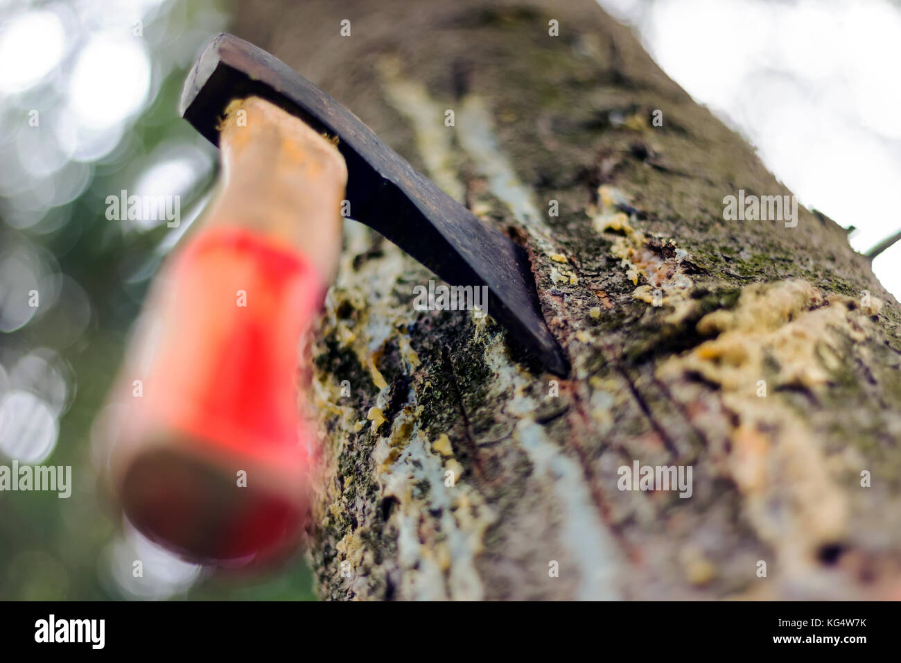 Singlebit axe hi-res stock photography and images - Alamy