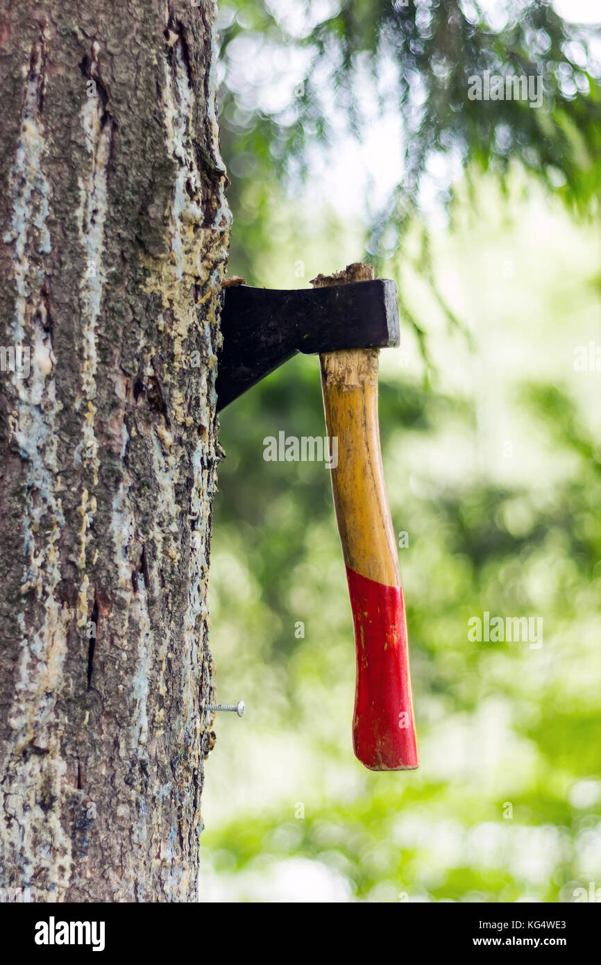 Hewing axe hi-res stock photography and images - Alamy
