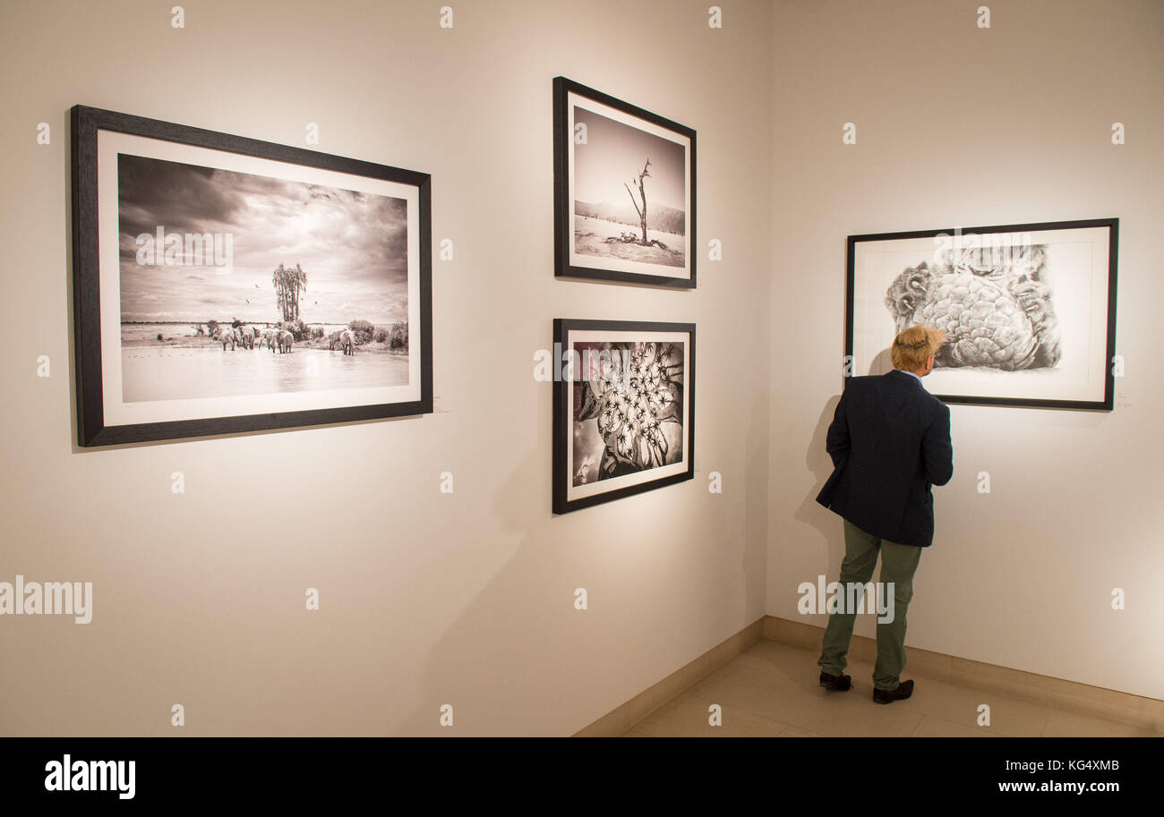 David shepherd wildlife hi-res stock photography and images - Alamy