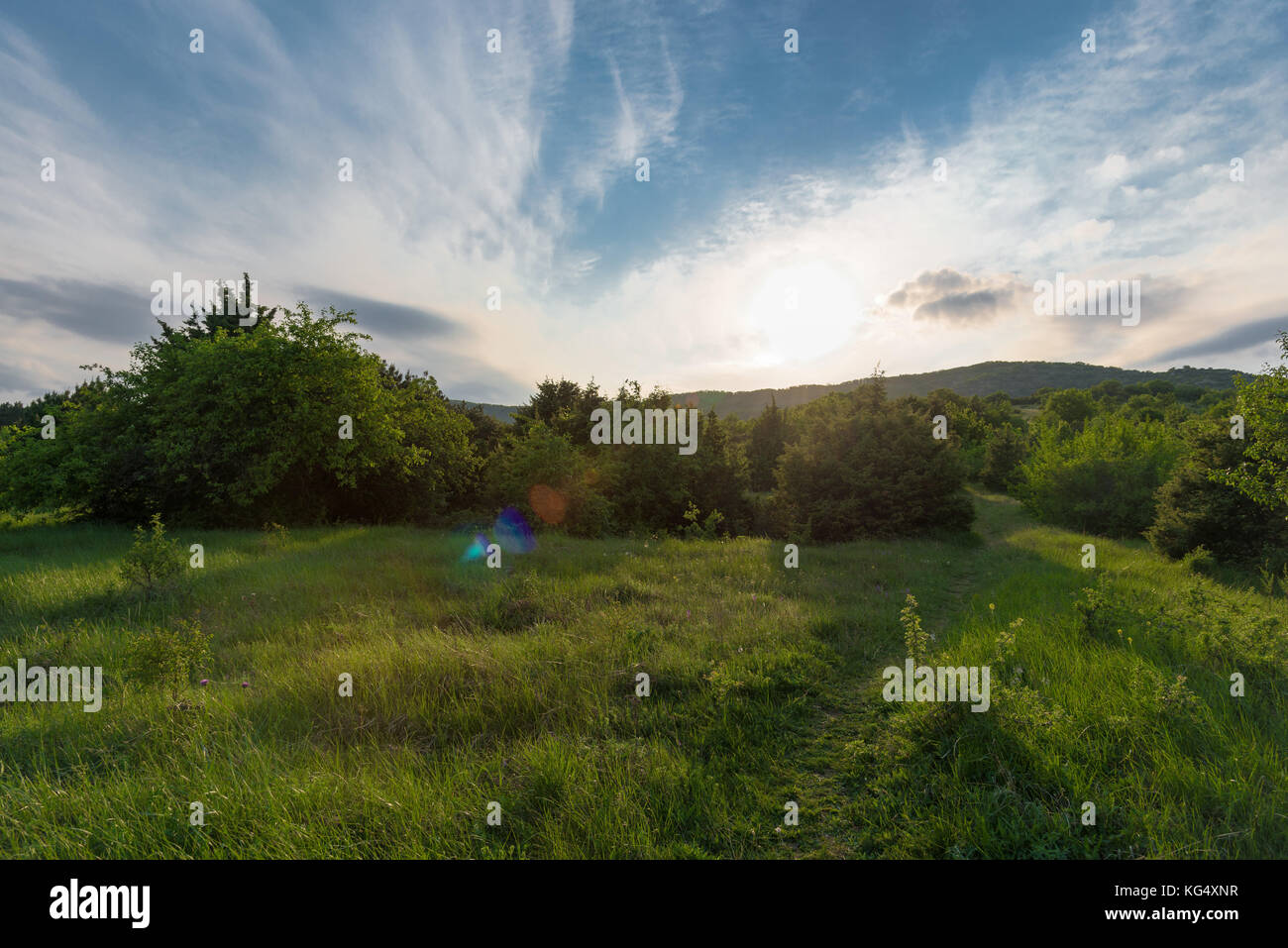 Sunset in forest and blue sky Stock Photo - Alamy