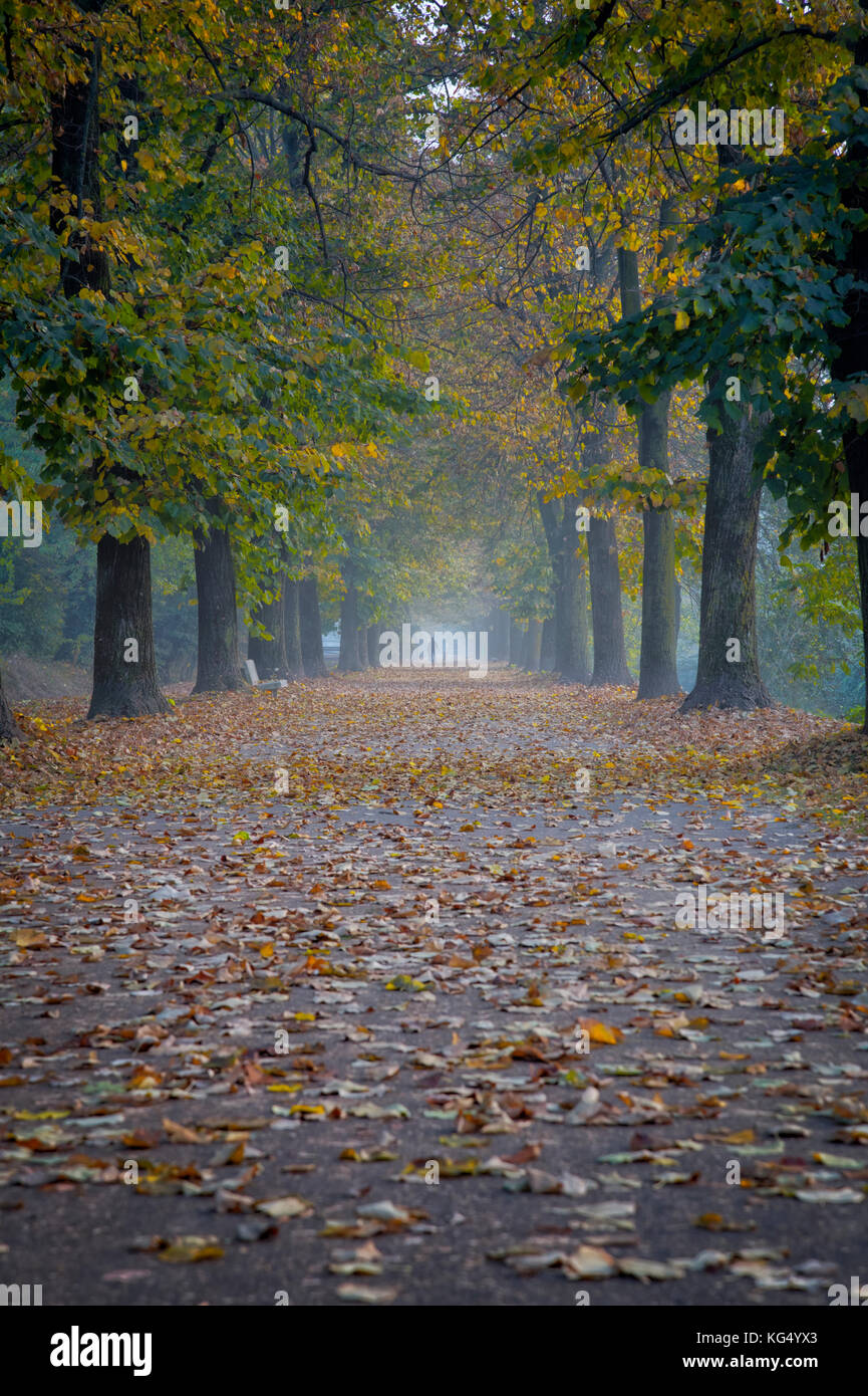 a view of an autumn way Stock Photo - Alamy