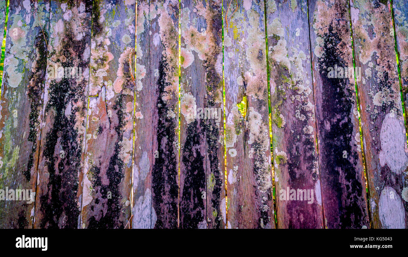 Decorative weathered wood fence with artistic natural pattern and color ...