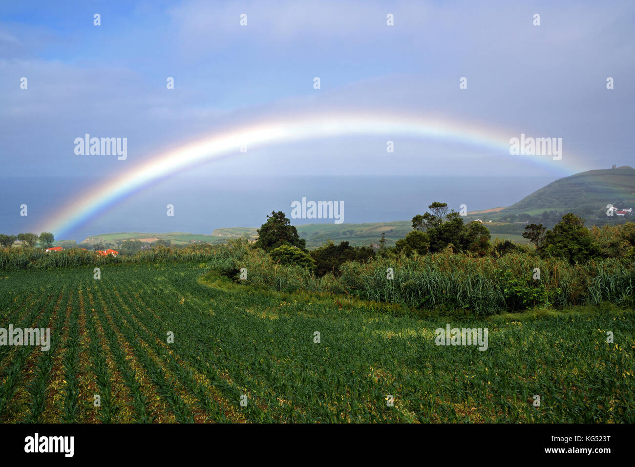 Rainbow at Ginetes, island of Sao Miguel, Azores, Portugal Stock Photo ...