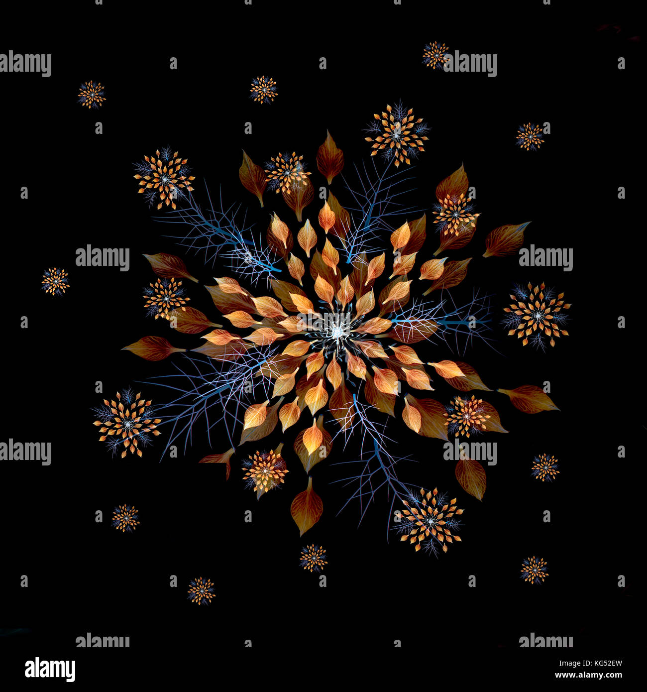 Deconstructed Flower High Resolution Stock Photography and Images - Alamy