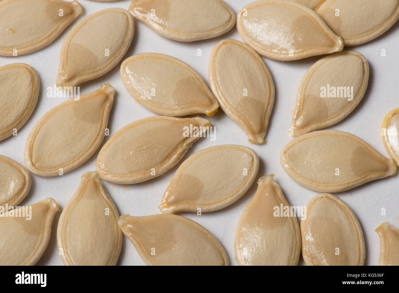 Cucurbita seed hi-res stock photography and images - Alamy