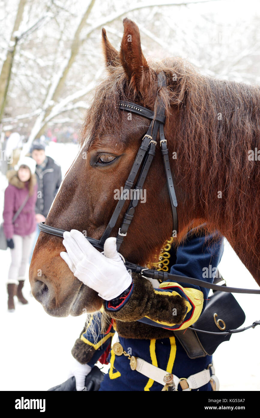 Faithful hussar hi-res stock photography and images - Alamy