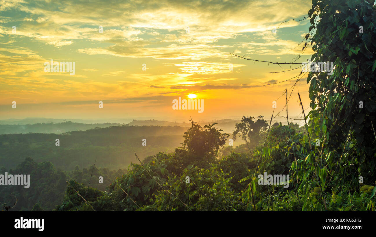 beauty of sunset sunrise in the forest Stock Photo - Alamy