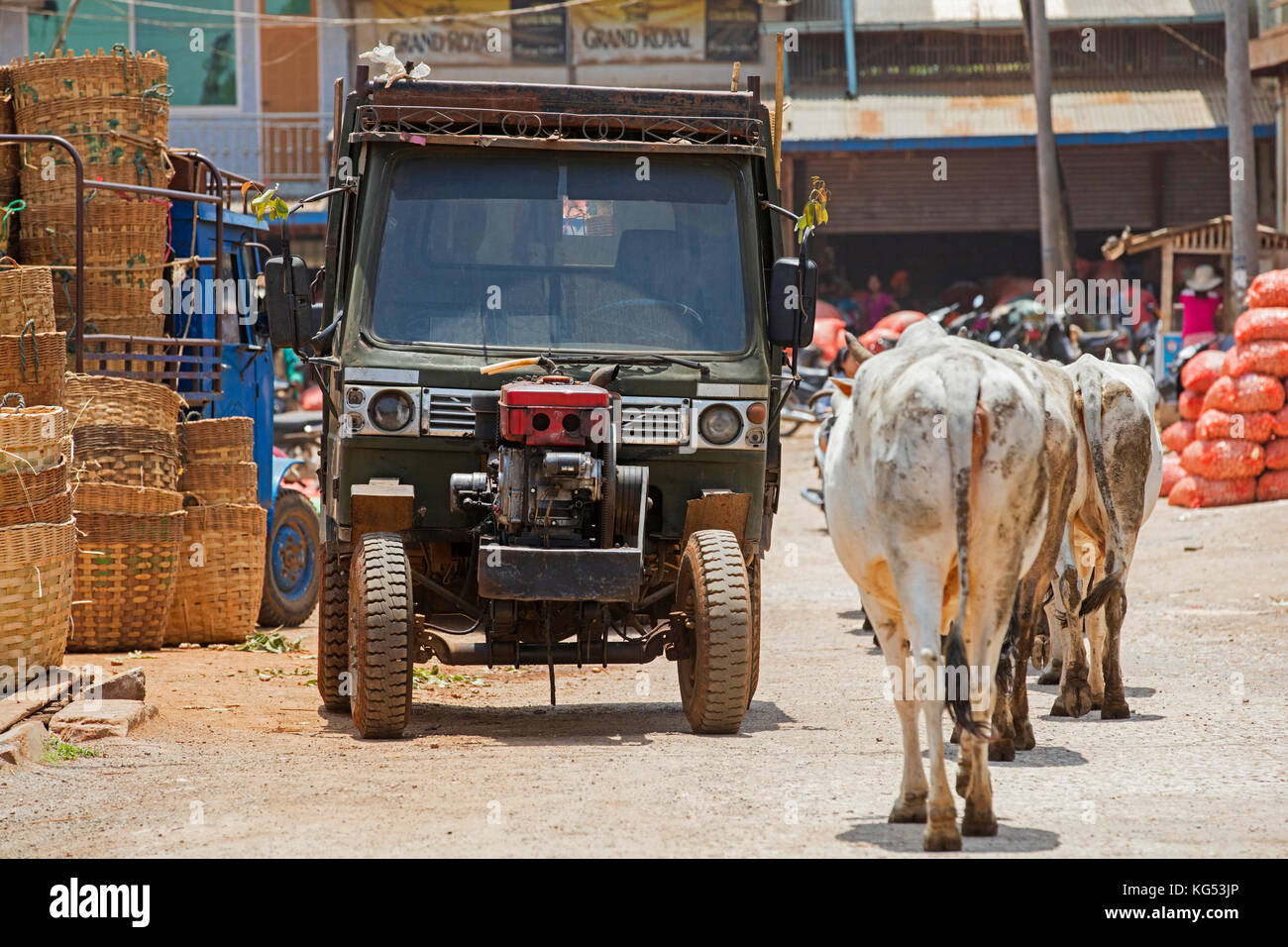 Tractor cows hi-res stock photography and images - Alamy
