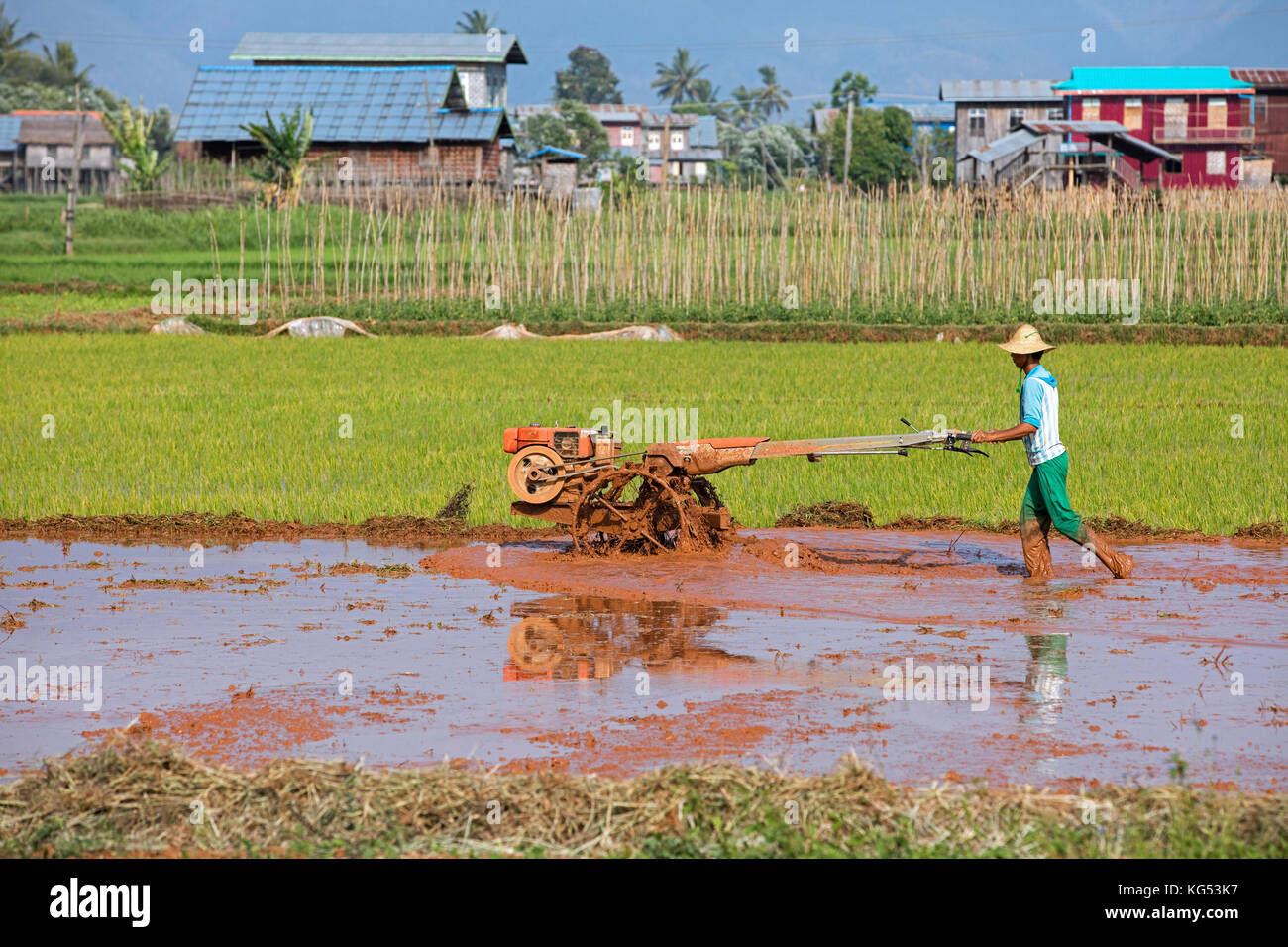 Ploughing rice hi-res stock photography and images - Alamy