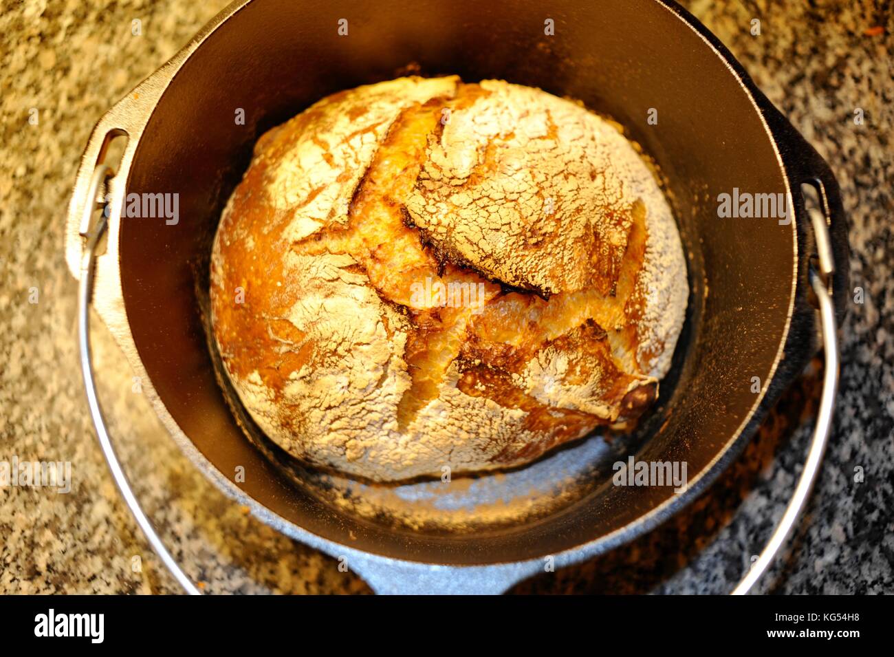 Fresh crusty loaf of artisanal homemade bread baked in a Lodge Dutch ...